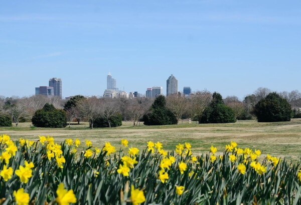 Best Downtown Raleigh Parks – Revisn